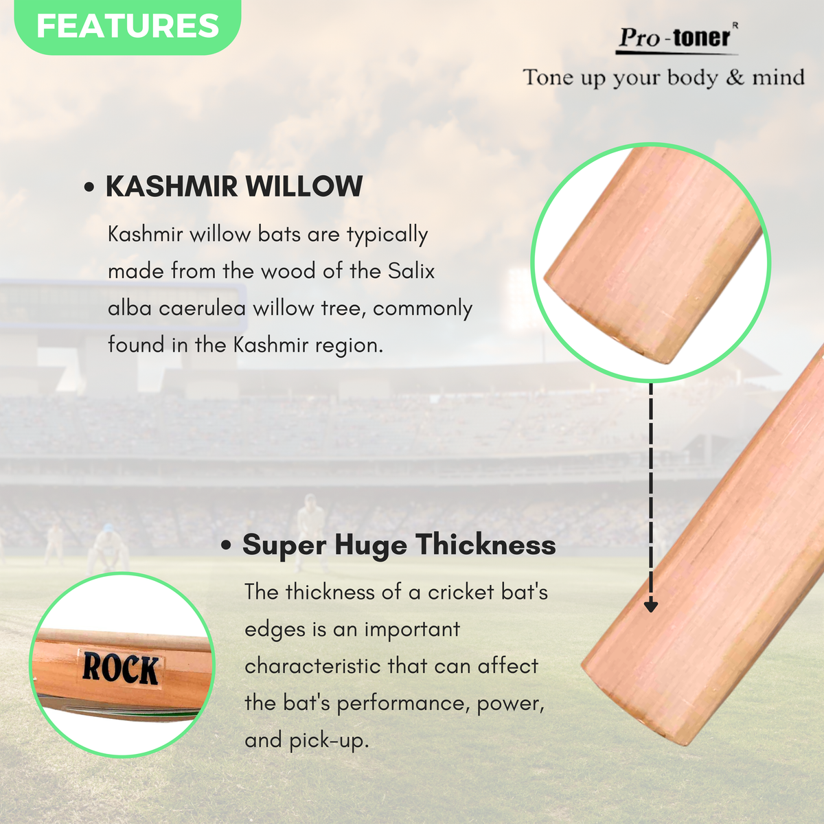 Protoner Wsg ROCK Kashmir willow cricket bat super huge bulge season b ...
